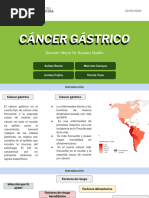 Clasificación Borrmann Cáncer Gástrico | PDF