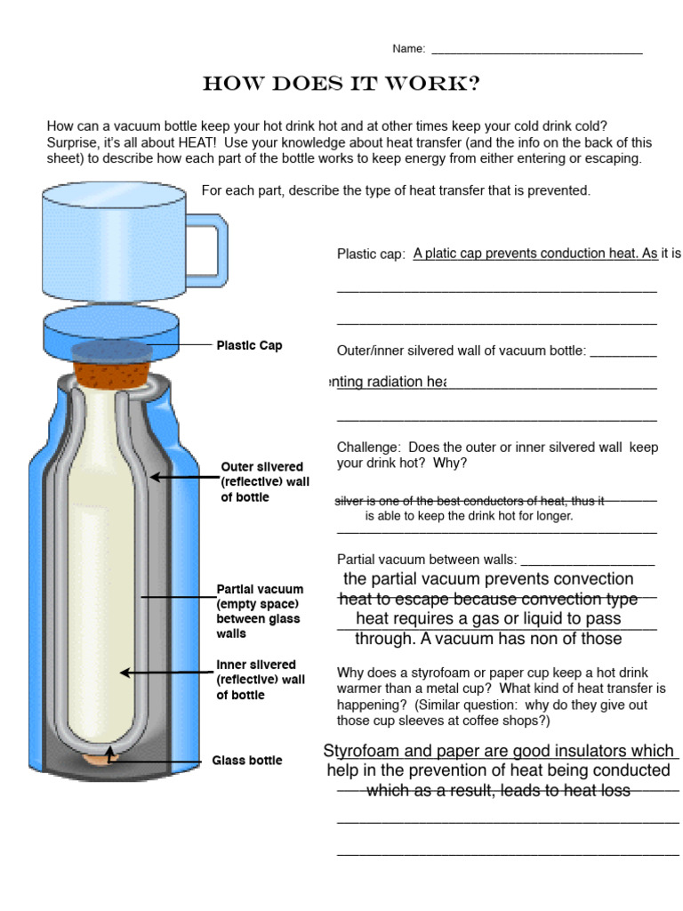 Toddle - Thermos Worksheet | PDF | Heat Transfer | Thermodynamics