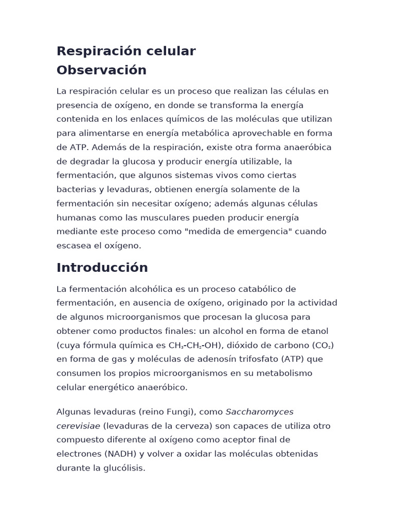 Respiración Celular | PDF | Respiración celular | Fermentación