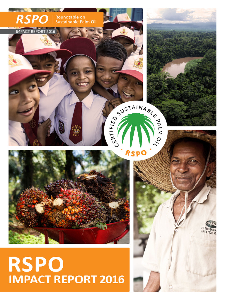 2016 Impact Report English1 | PDF | Palm Oil | Sustainability