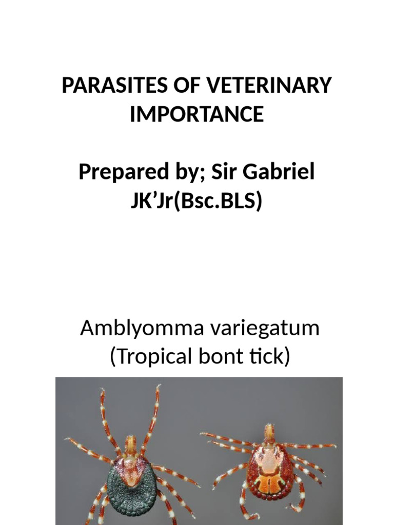 Parasitology Images 1 1 | PDF
