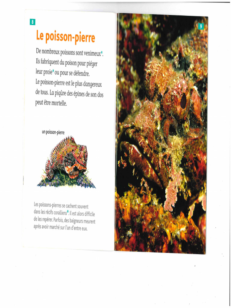 Le Poisson Pierre | PDF