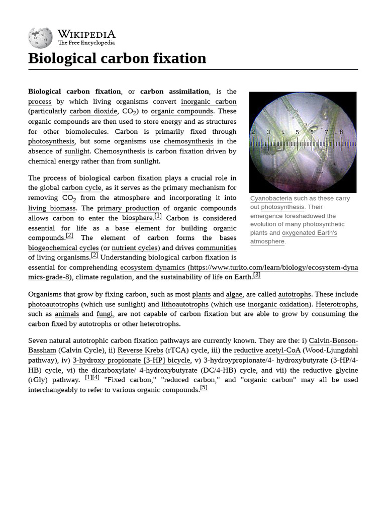 Biological Carbon Fixation | PDF | Organic Matter | Soil