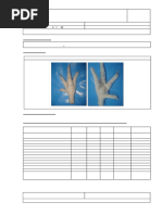 Lycasin 80-55 | PDF | Packaging And Labeling | Information