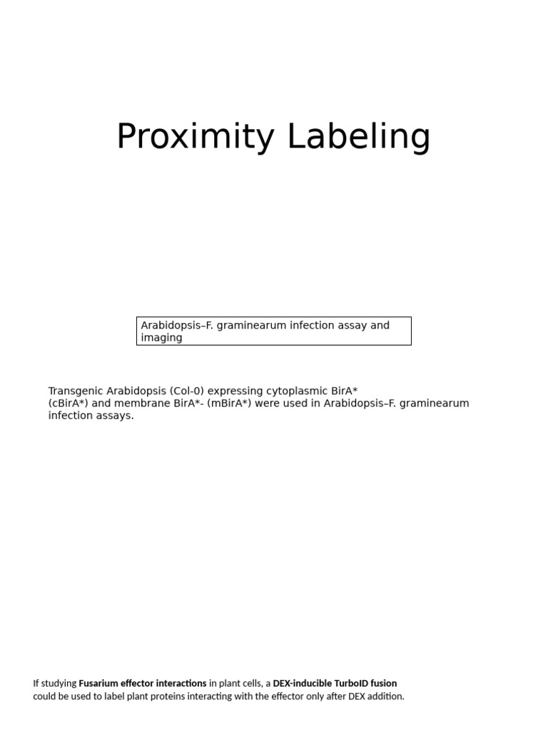 Proximity Labeling | PDF