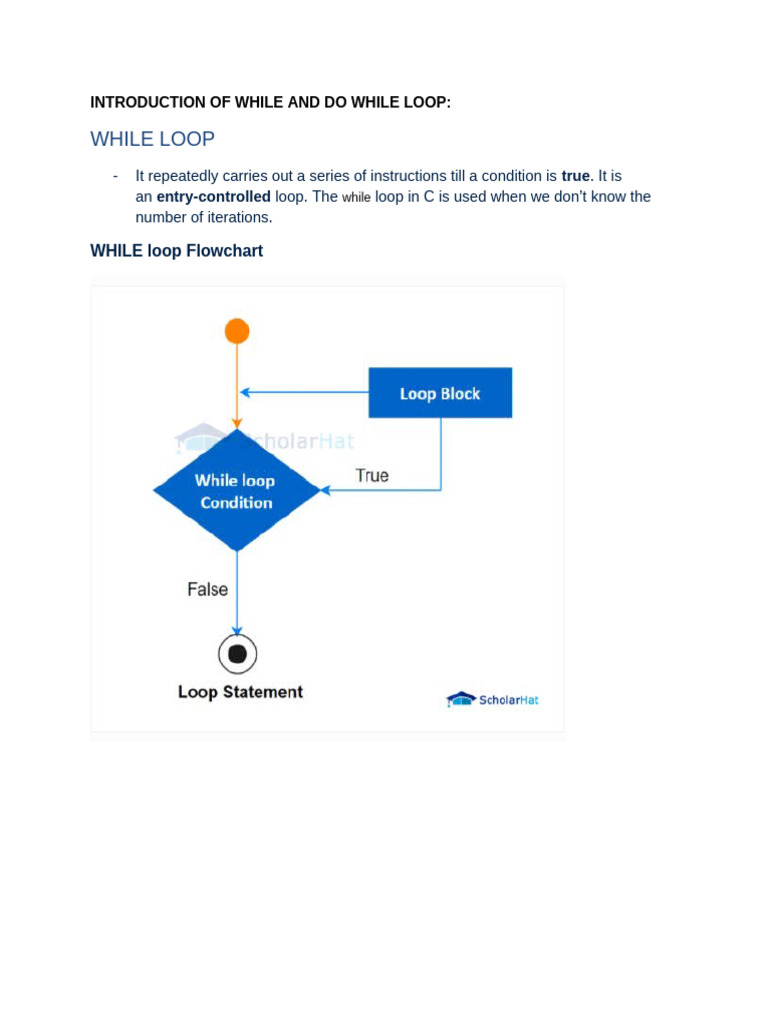 INTRODUCTION OF WHILE AND DO WHILE LOOP(group3) | PDF