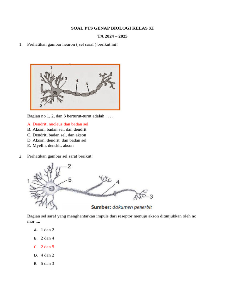 Soal PTS Genap Biologi Kelas Xi 2024 | PDF
