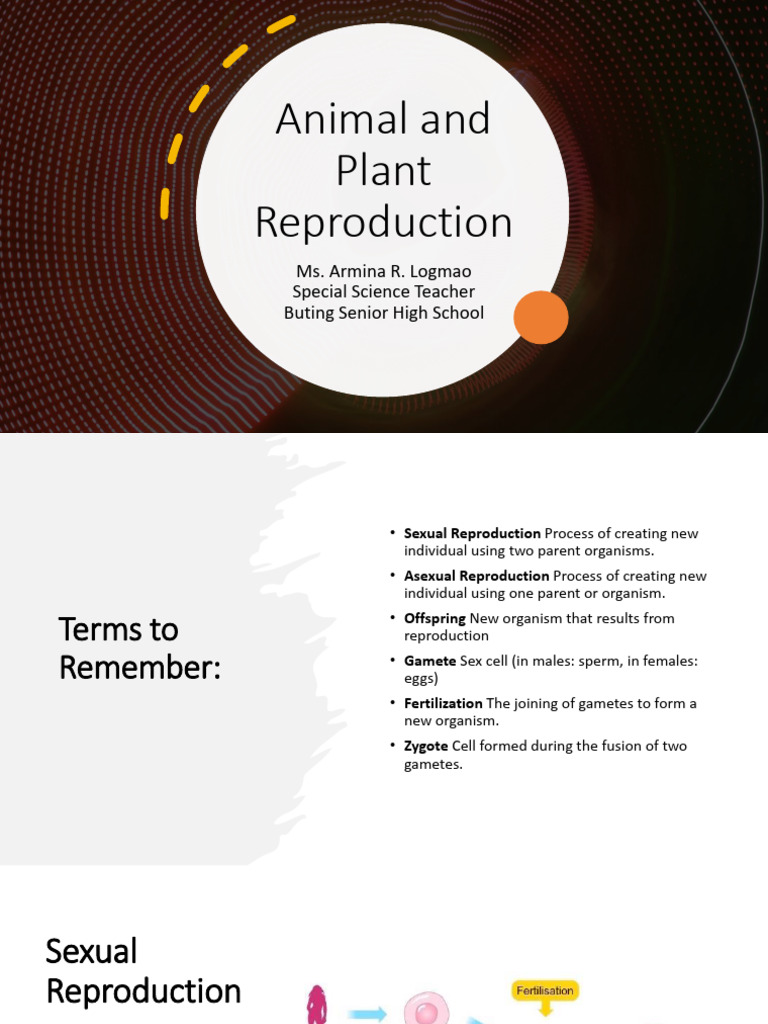 Animal and Plant Reproduction Overview | PDF | Sexual Reproduction ...