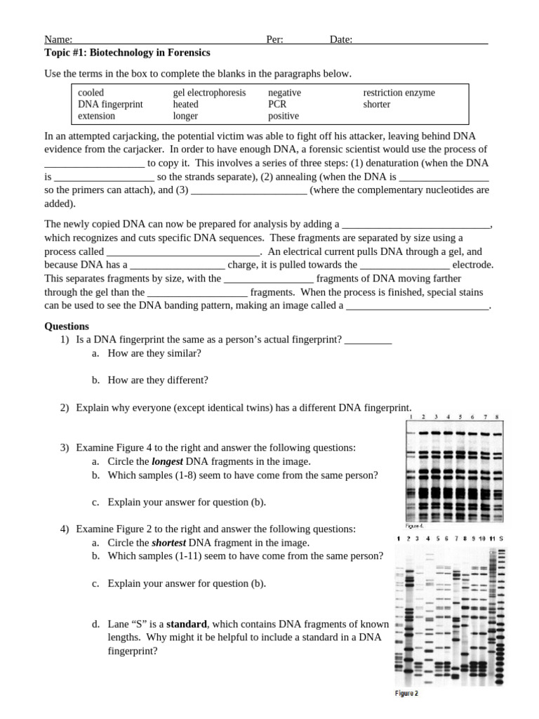 Biotechnology in Forensics Overview | PDF | Dna | Dna Profiling
