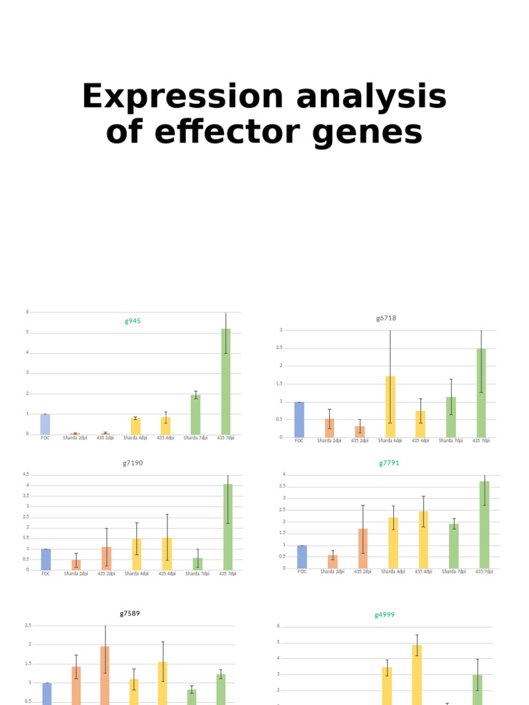 Expression Analysis of Effector Genes | PDF | Genetics | Cell Biology