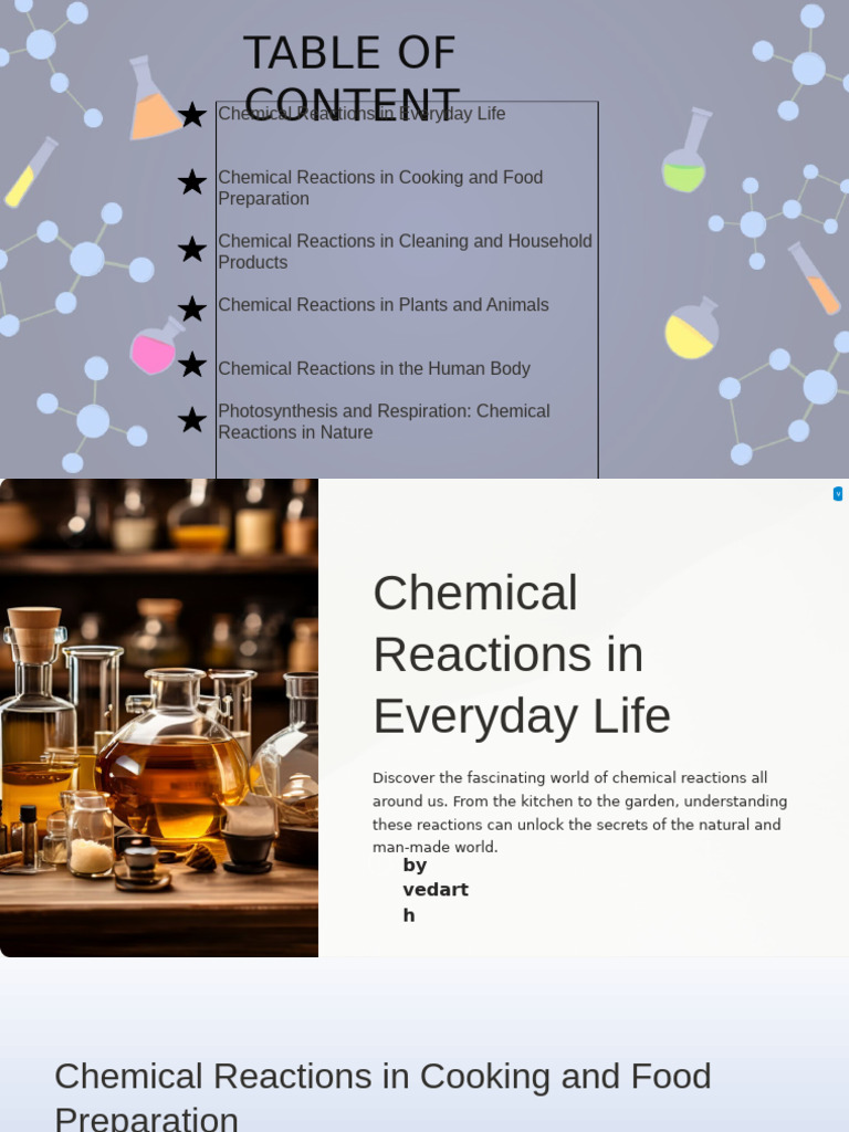Chemical Reactions in Everyday Life | PDF | Combustion | Photosynthesis