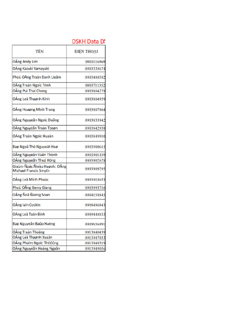 DATA KHÁCH HÀNG Data DSKH DẦU KHÍ VÀ SAIGONPEAL | PDF