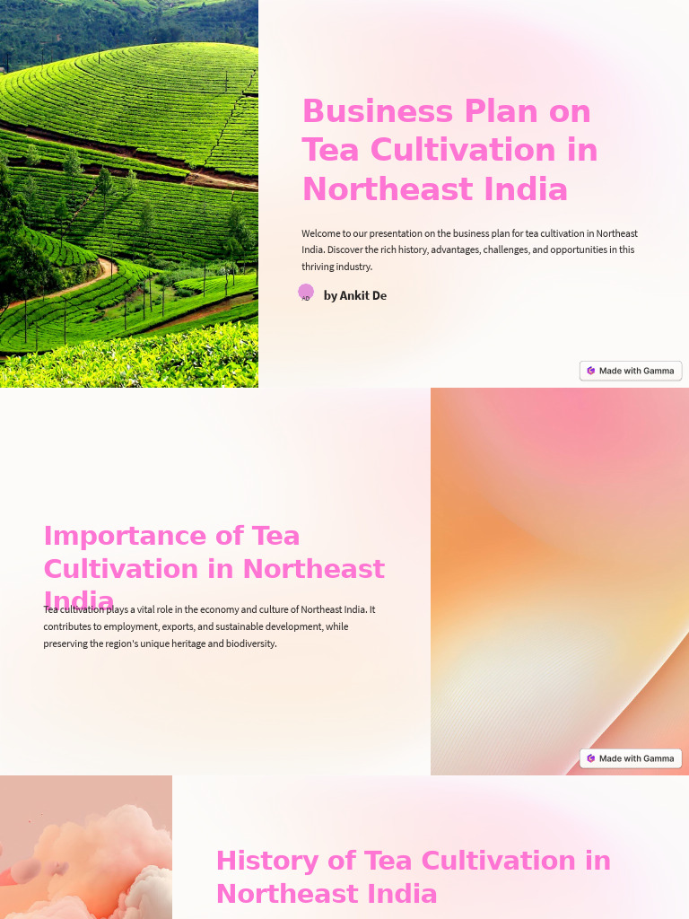 Business Plan On Tea Cultivation in Northeast India | PDF | Tea ...