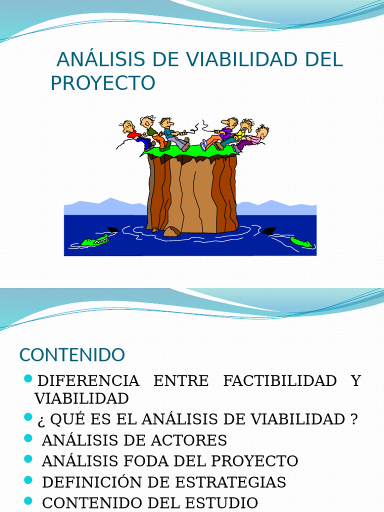Análisis de Viabilidad de Un Proyecto | PDF | Análisis FODA | Economias