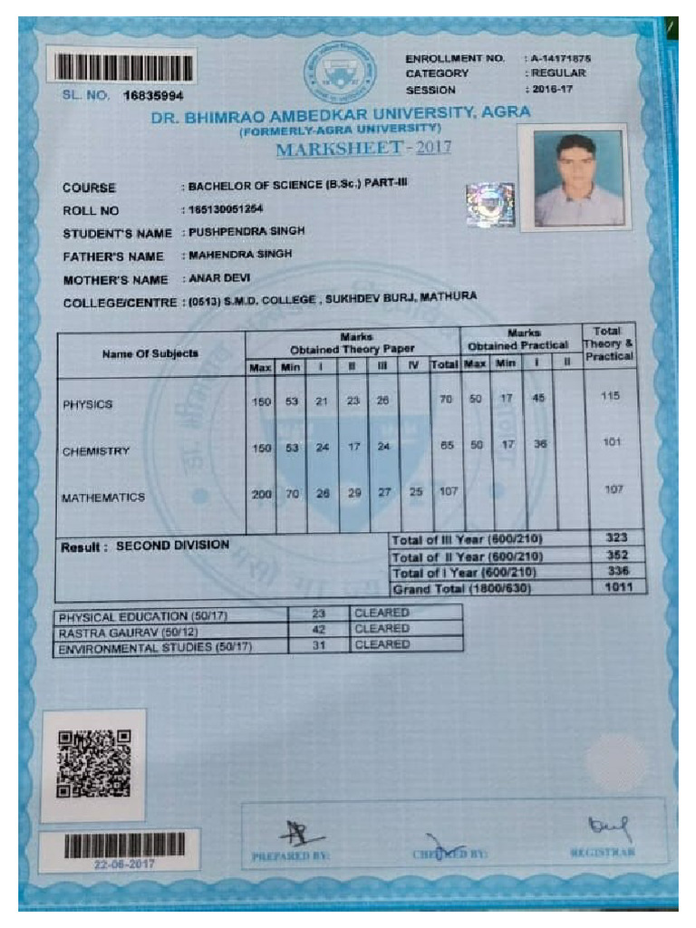 B.Sc. Marksheet | PDF
