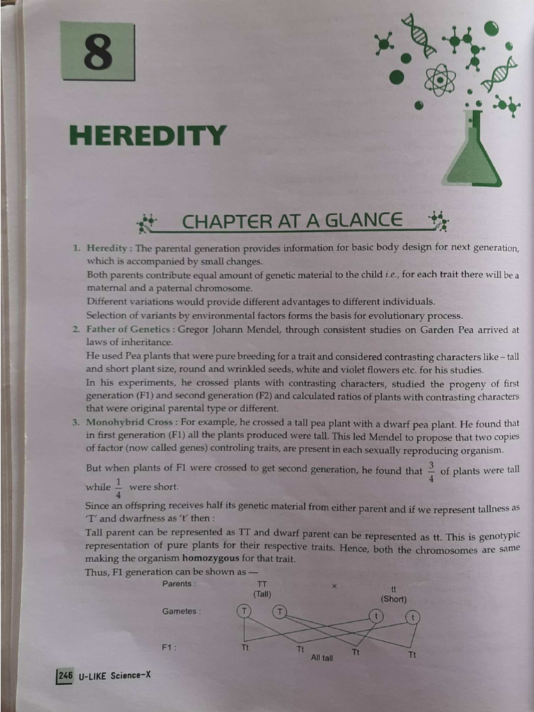 Qna of Ch..Heridity | PDF