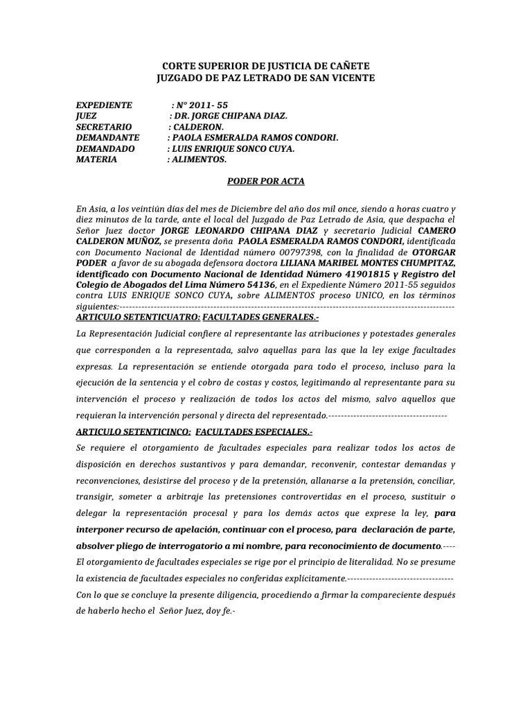 Poder Por Acta | PDF | Separación de poderes | Ley Pública