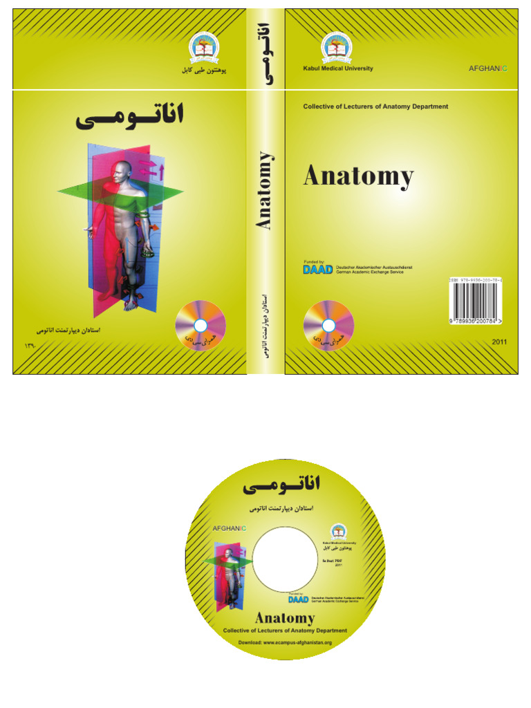 Anatomy | PDF