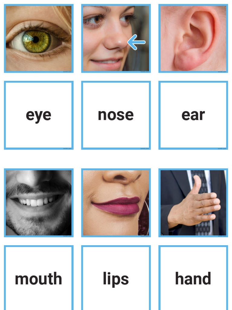 T 1681982659 Esl Body Parts Matching Cards Adults A1 A2 - Ver - 2 | PDF ...