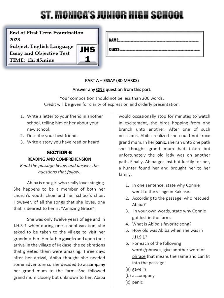 English Language Exam: Essay & Comprehension | PDF