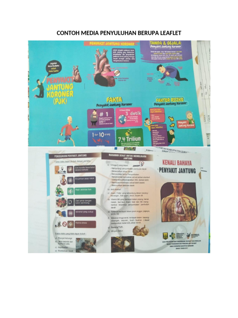 Contoh Media Penyuluhan Berupa Leaflet | PDF
