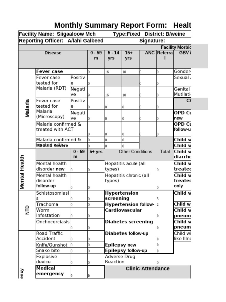 HMIS-DHIS2 December 2024-1 | PDF | Childbirth | Pneumonia