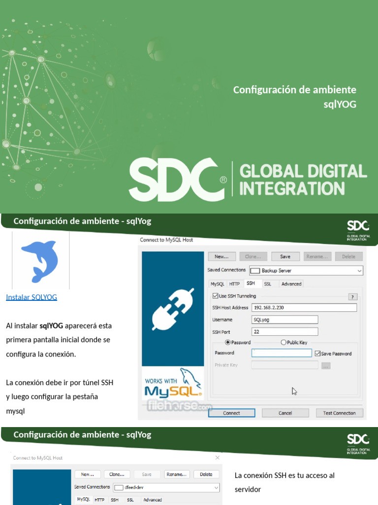 INTRO_SDC_SQLYOG | PDF