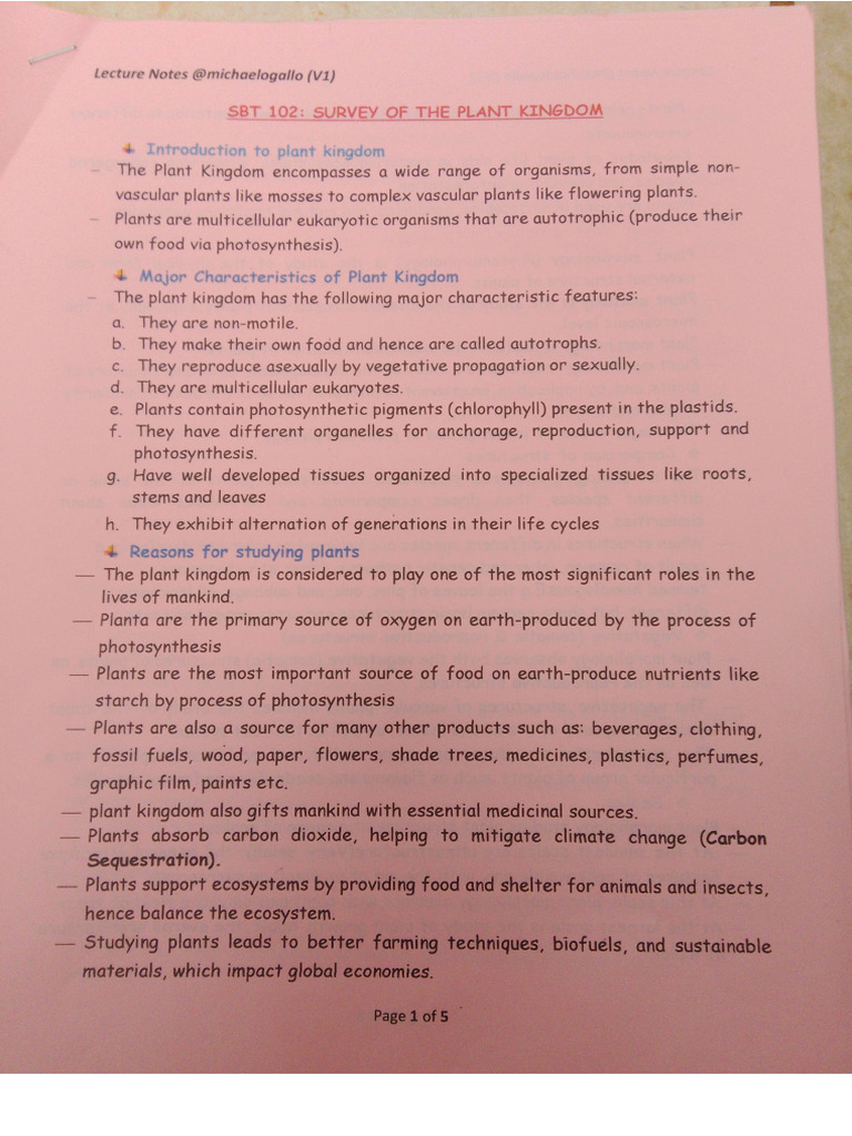 ACE Scanner - 2025 - 02 - 07 | PDF