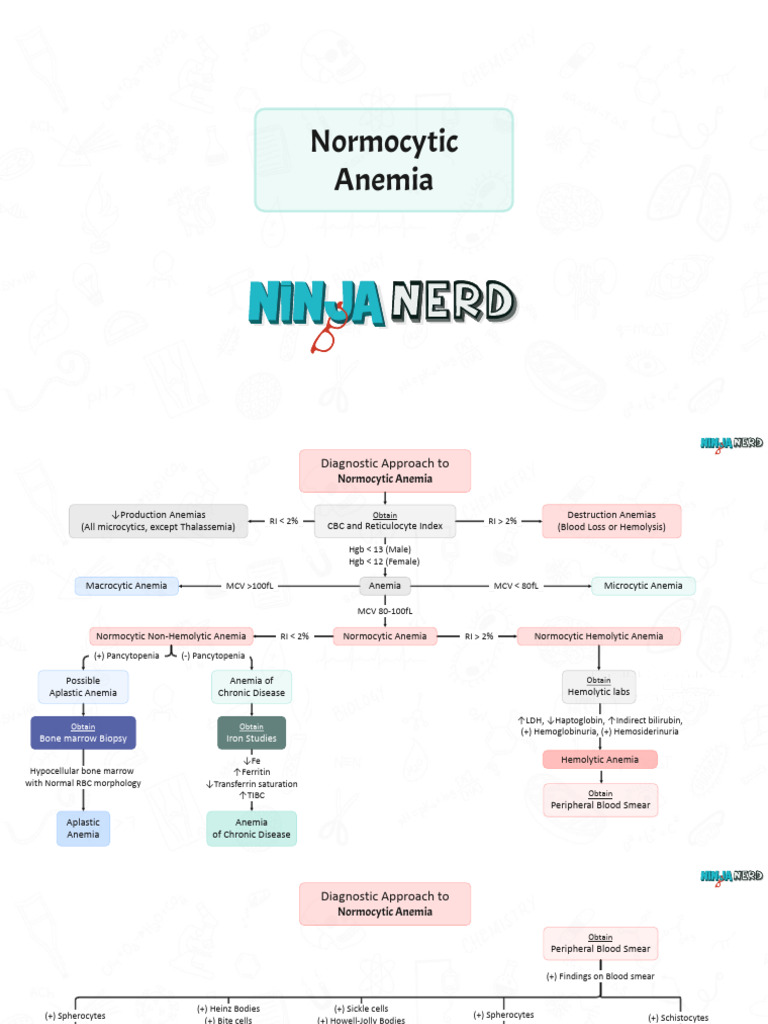 HEME-02 Normocytic Anemia | PDF | Anemia | Red Blood Cell