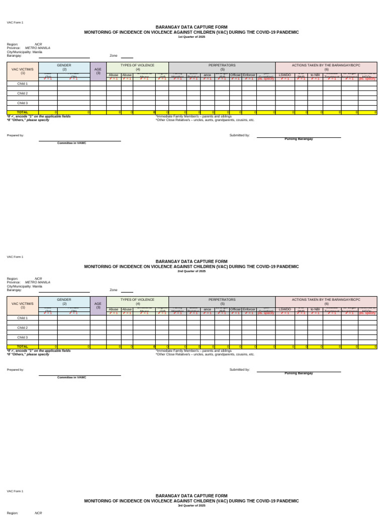VAC Form: Child Violence Data 2025 | PDF | Child Abuse | Violence