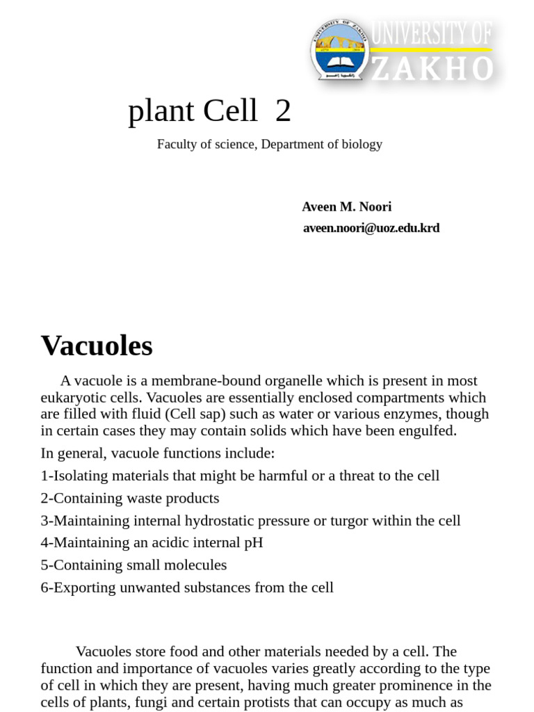Overview of Eukaryotic Cell Organelles | PDF | Endoplasmic Reticulum ...