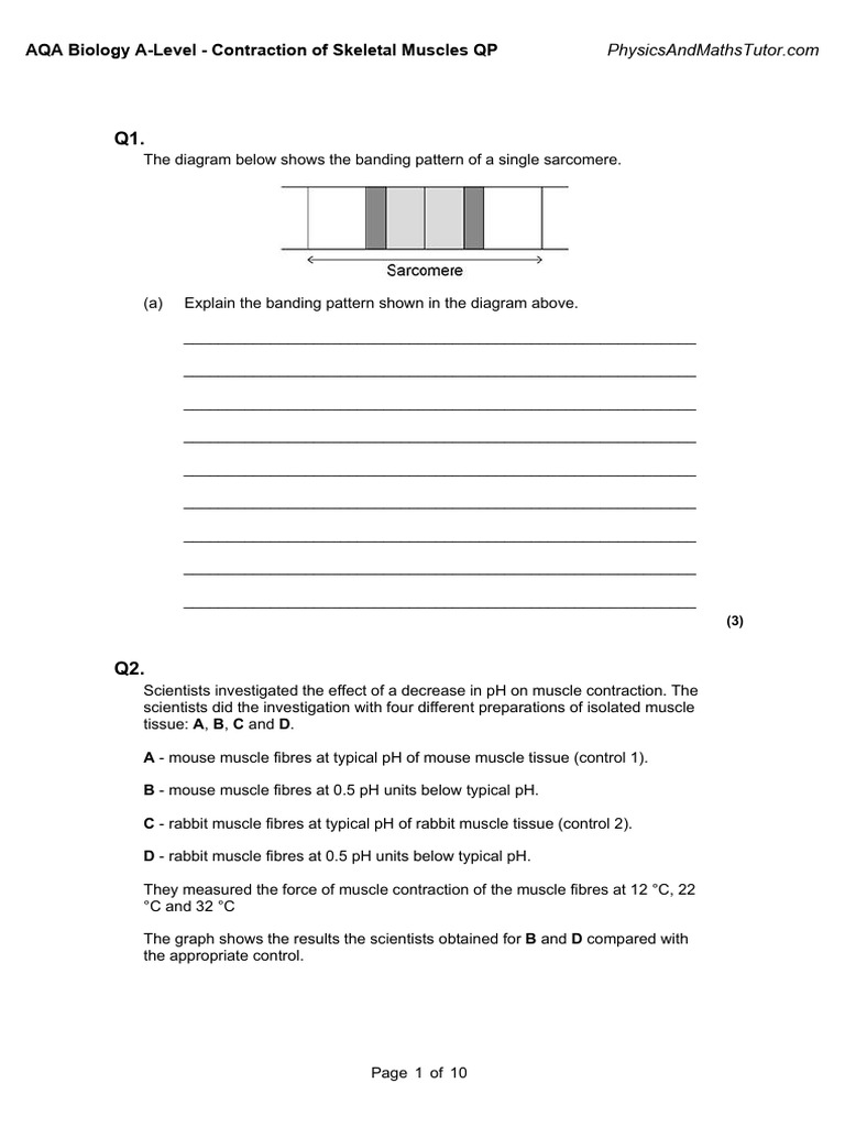 Muscle Contraction and pH Effects Analysis | PDF | Zygosity | Allele