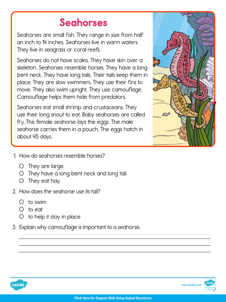 Second Grade Seahorses Reading Comprehension Activity | PDF
