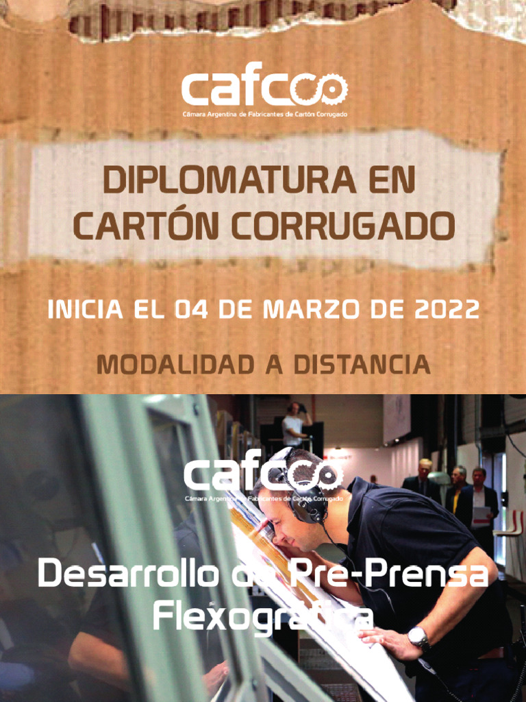 Manual-Desarrollo-de-Pre-Prensa | PDF