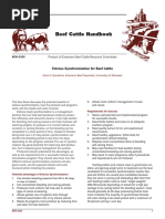 Beef Cow Synchronization Protocols | PDF | Cattle | Land Management