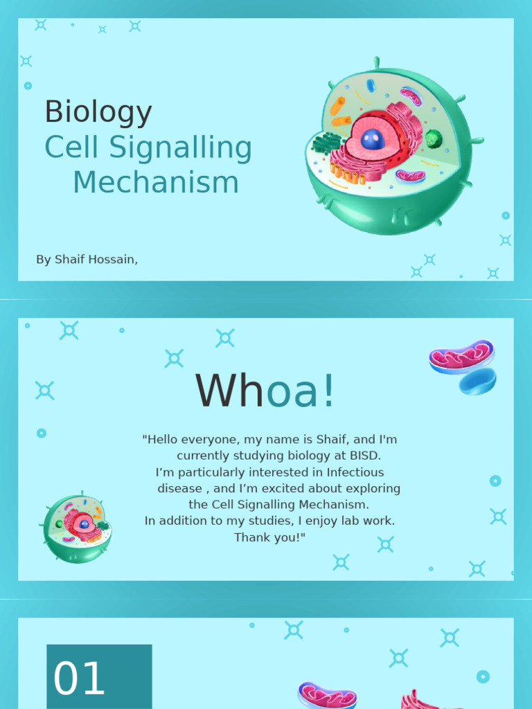 Cell Signalling Mechanisms | PDF | Cell Signaling | Neuron