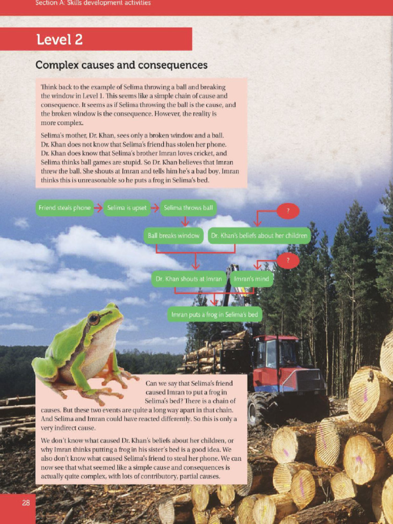Complex Causes and Consequences | PDF
