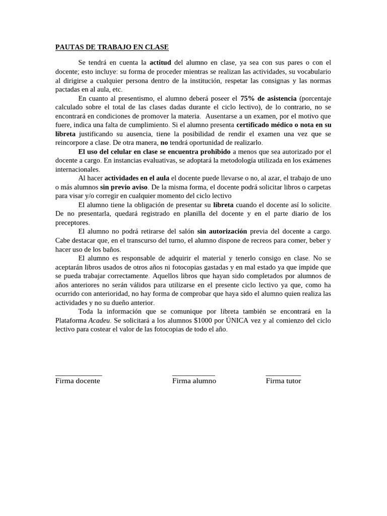 Pautas de Trabajo en Clase | PDF