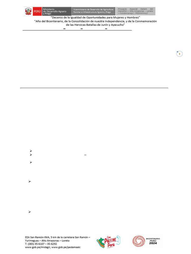 Informe #017-A-2024-Informe de Cumplimiento de La Ley 30490, Adulto ...