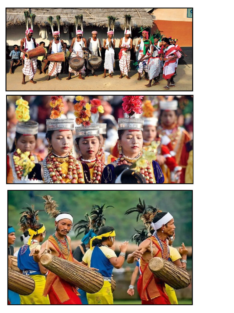 Tribes of India | PDF