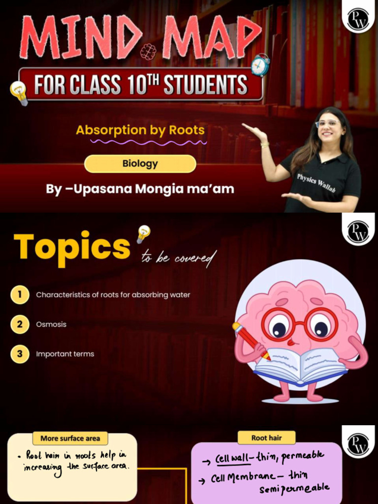 Absorption by Roots - Class Notes - Class 10th ICSE Mind Map Series | PDF
