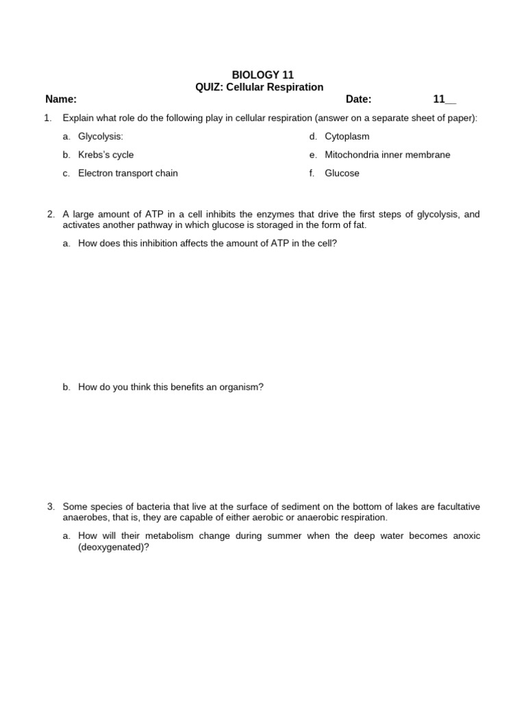 Cellular Respiration Quiz and Answers | PDF | Cellular Respiration ...