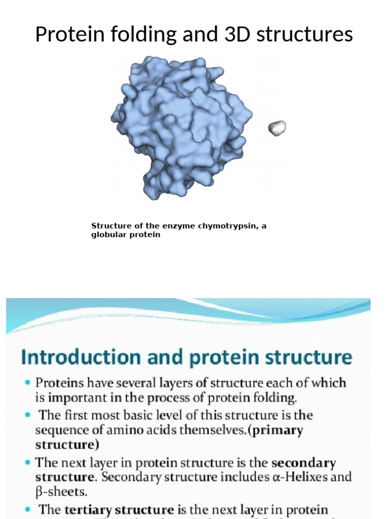 Protein Folding and Disorders Explained | PDF | Beta Sheet | Alpha Helix
