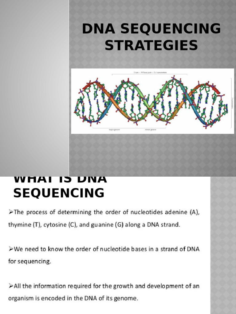 Sanger Sequencing Overview and Diagram | PDF