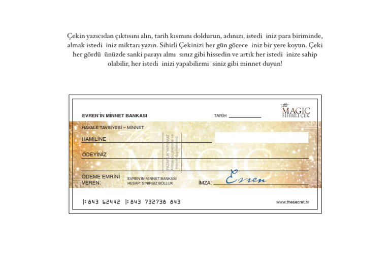 TS0517 MTR TM WebCheckInstructions Turkish v01 | PDF