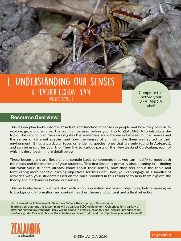 1 Understanding Our Senses-Teacher Lesson Plan | PDF | Senses | Taste