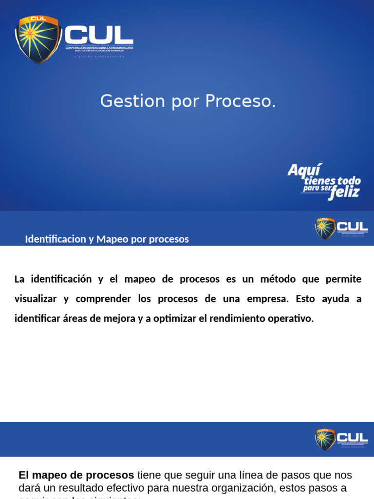 3 Gestion Por Proceso. | PDF