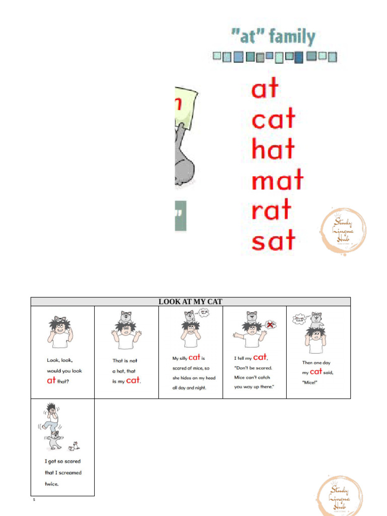 Look at My Cat | PDF