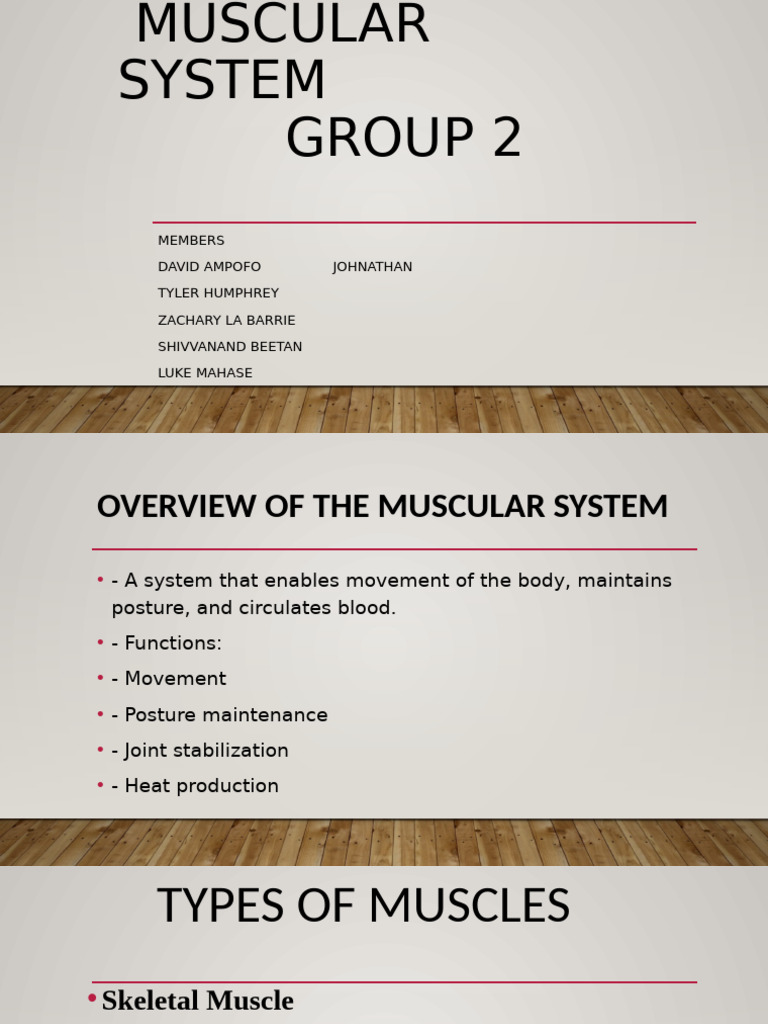 Muscle Force and Movement Overview | PDF | Muscle | Skeletal Muscle