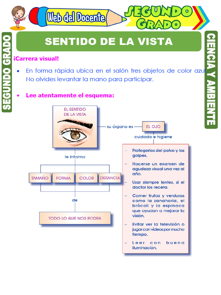 Actividades sobre el sentido de la vista | PDF